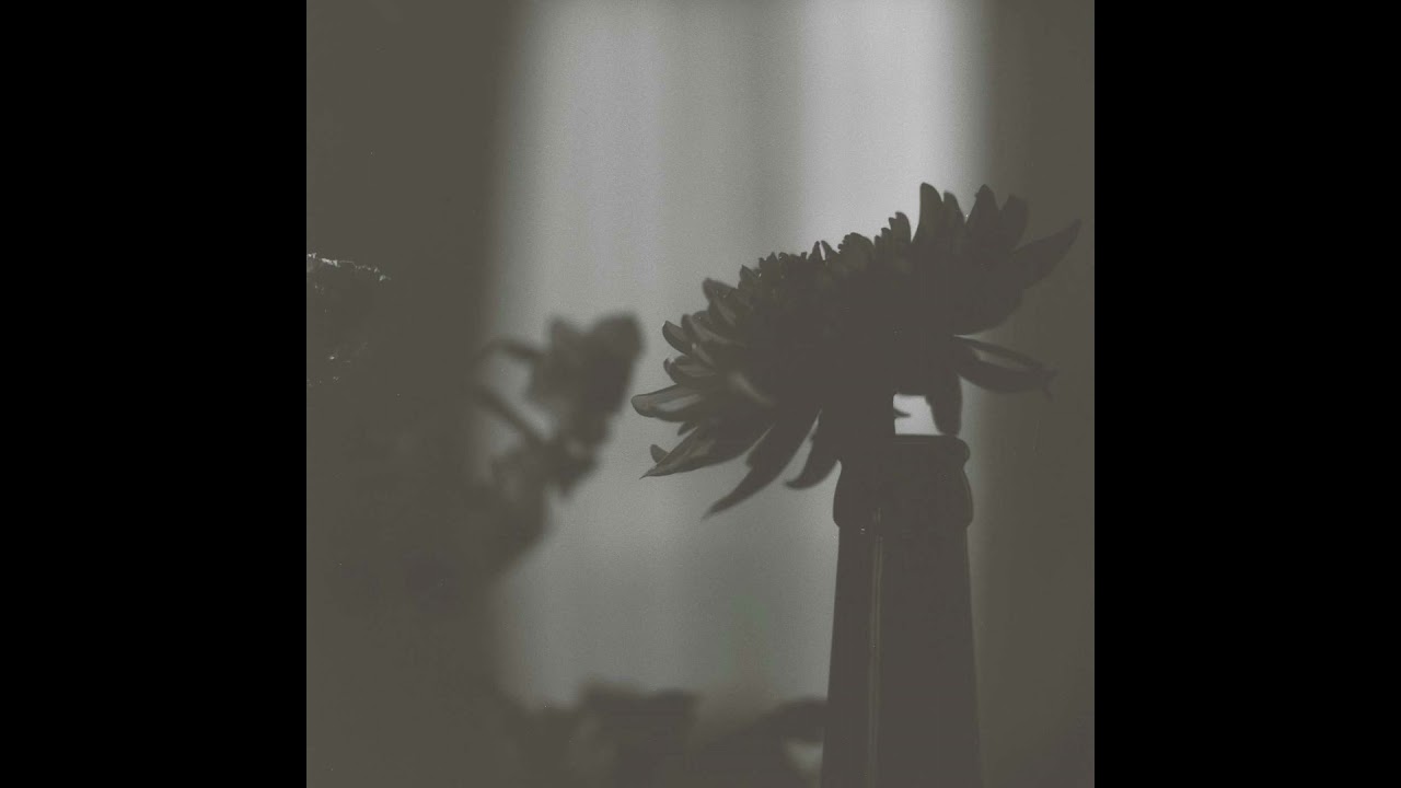 Grieving After Suicide: How to Support Loss Survivors with Compassion and Understanding