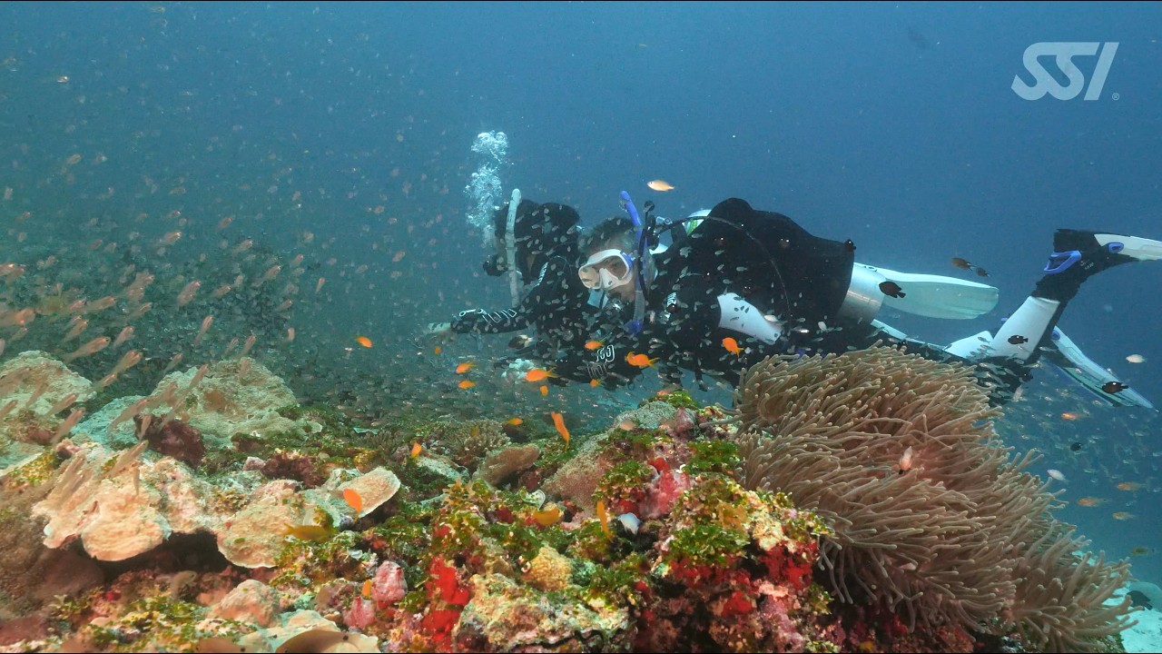 Deep Diving Specialty | Explore Dive Sites 18–40m Safely