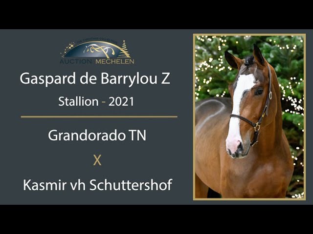 Auction Mechelen | Gaspard De Barrylou Z