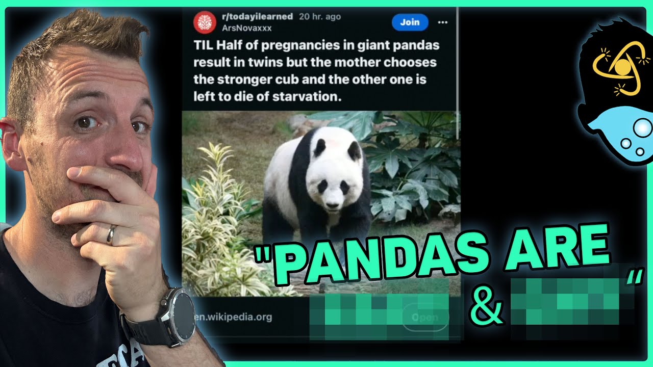 You Will Not Believe What This Conspiracy Theorist Said About Pandas