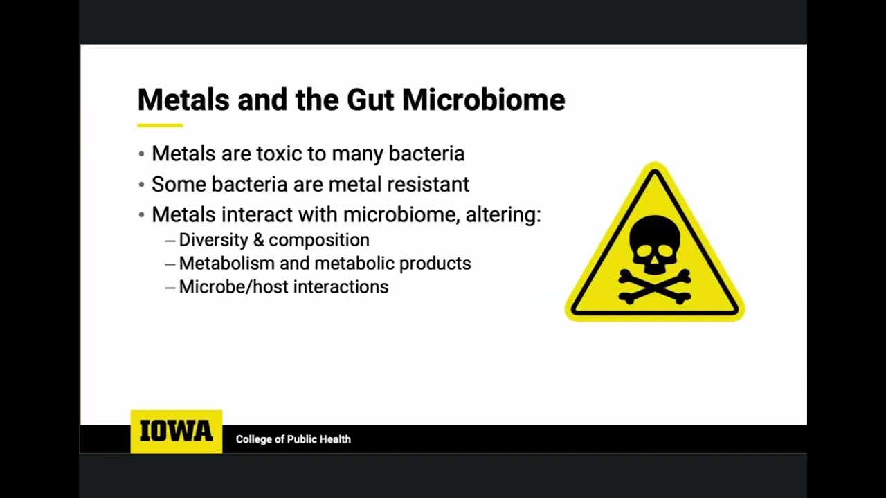 LMP Grand Rounds - SEggers 15Apr2026