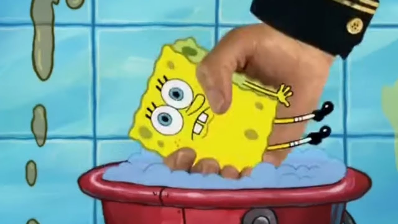 newsponge (esponja modelo )