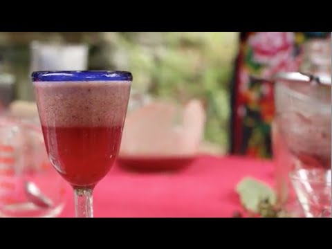 Foraging & Feasting Beverage Making Episode 1: Agua Frescas & Spirits (Cocktails) w/ Dina Falconi