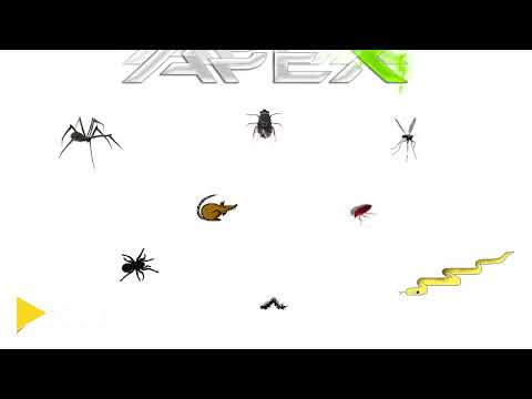 Apex Pest Solutions LLC's Explainer video| Simply Explainer