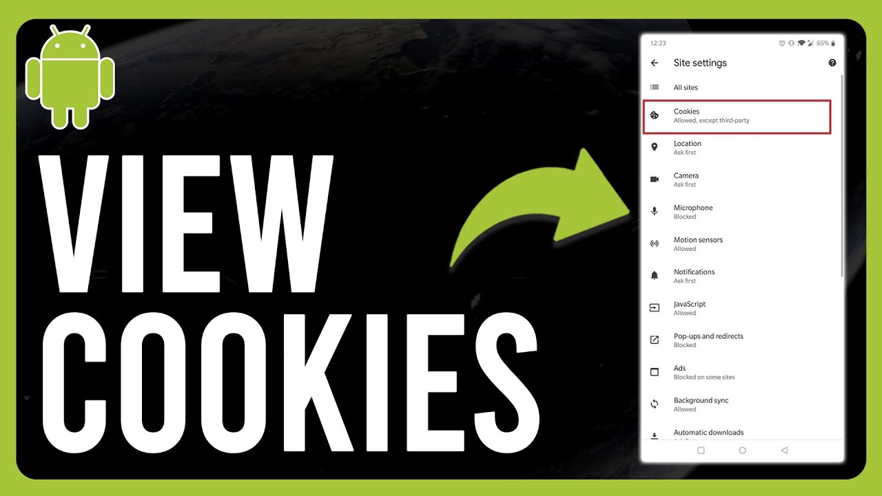 How to View Cookies on Android Phone (Where Are Cookies Stored on Android?)