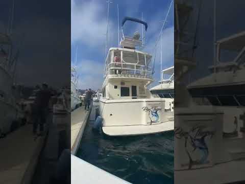 Docking a Mikelson 43’ Zeus