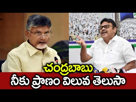 Ysrcp MLA Ambati Rambabu About Chandrababu | Social Tv Telugu
