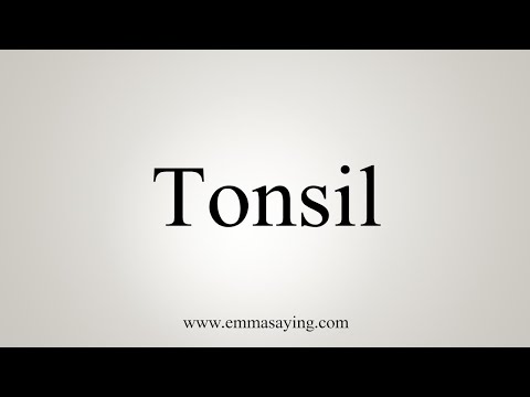 How To Say Tonsil