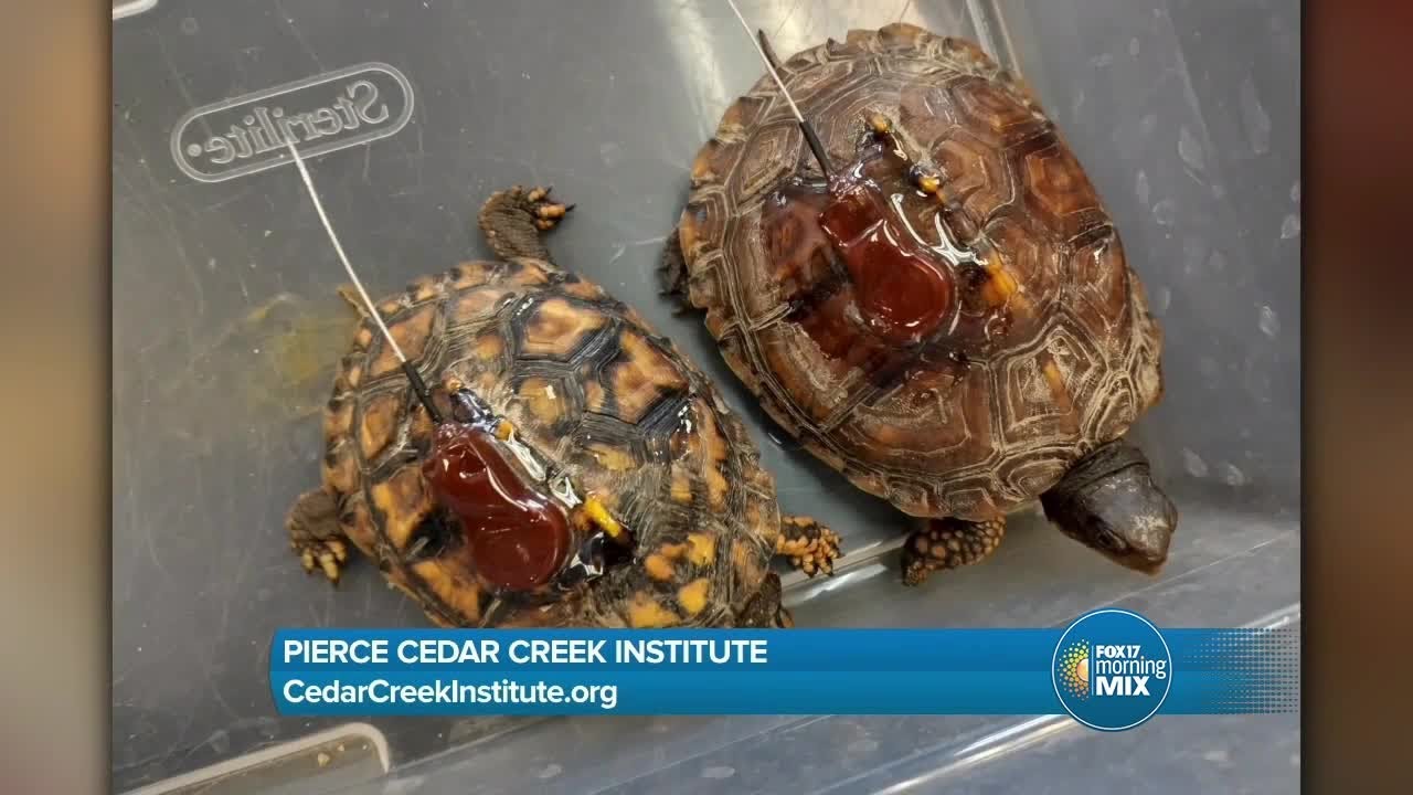 Conservation in a Changing World Series at Pierce Cedar Creek