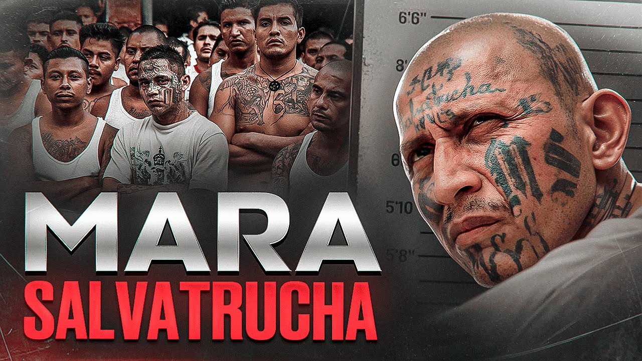 EL SALVADOR'S MAIN CRIMINAL SYNDICATE - Mara Salvatrucha aka MS 13