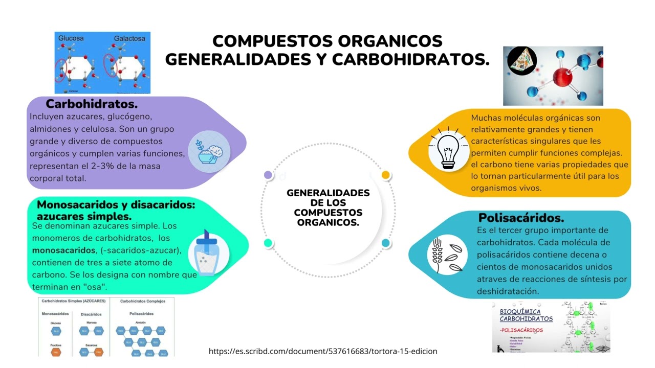 Mapa Mental Compuestos Organicos, Generalidades y Carbohidratos