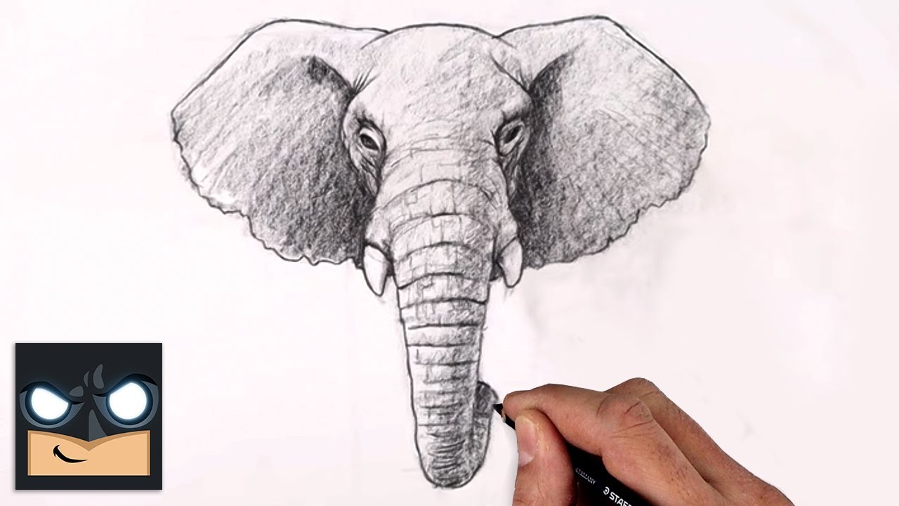 How To Draw an ELEPHANT | Beginner Pencil Sketch Tutorial (Step-by-Step)