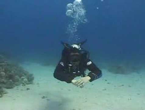 Mastering Horizontal Diving Trim: An Effortless Balancing Act!