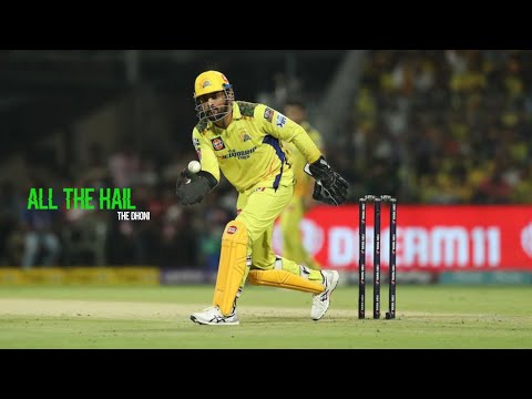 All the hail the tiger | dhoni | devara #hari_inx #dhoni