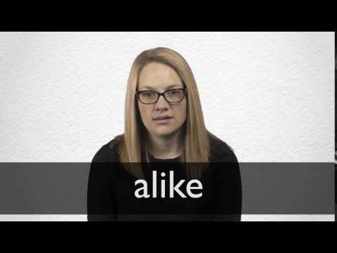 ALIKE——含义、同义词和翻译| 柯林斯英语词典资源