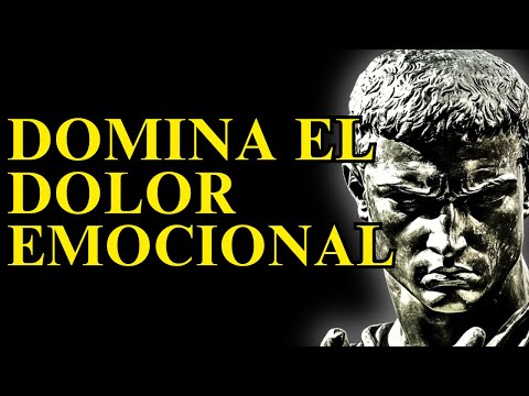 15 FORMAS EN QUE LOS SABIOS SE PROTEGEN DEL DOLOR EMOCIONAL | VALOR ESTOICO