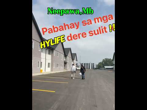 Neepawa | Manitoba | Hylife | Butcher | Canada #canadalife #buhayofw #exploring #buhaycanada #chill