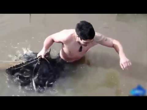 What's crazy in its Download From the Lake ,, Lots