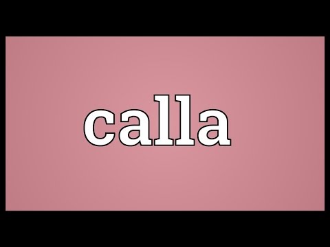 Calla Meaning
