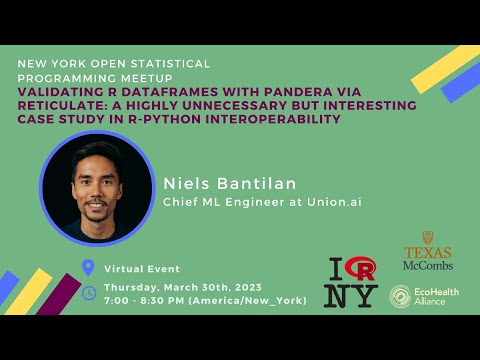 Niels Bantilan - Validating R Dataframes with Pandera via Reticulate: A Case Study in R-Python