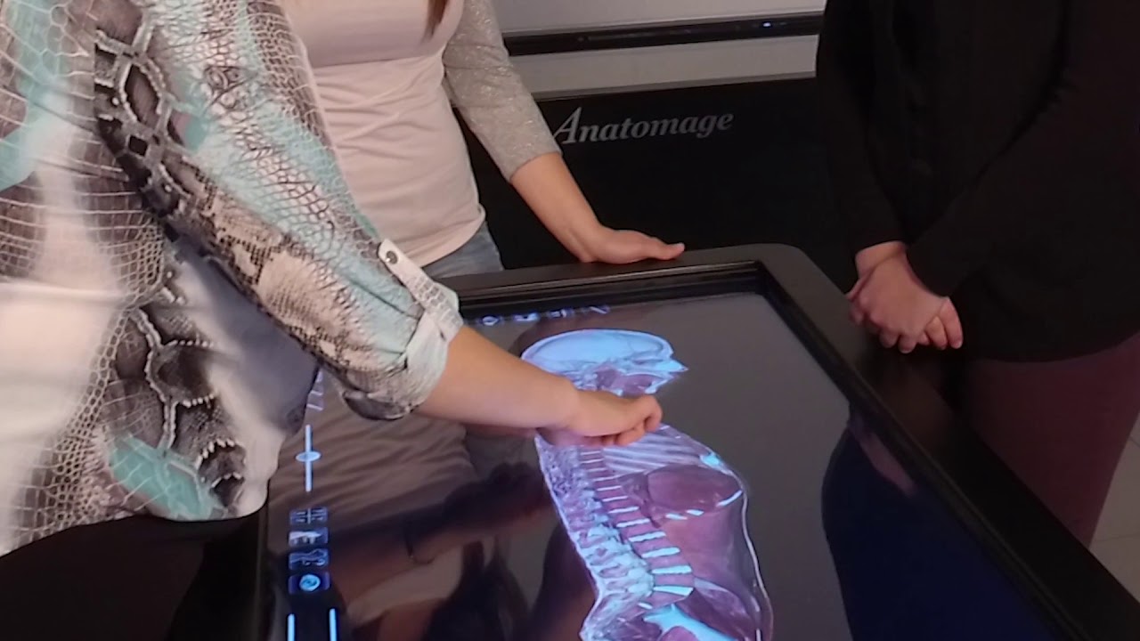 Anatomage Virtual Anatomy Table