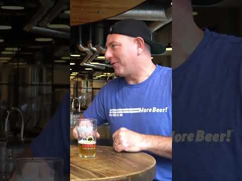 West Coast IPA or Hazy IPA? | MoreBeer! x Danville Brewing | #Shorts