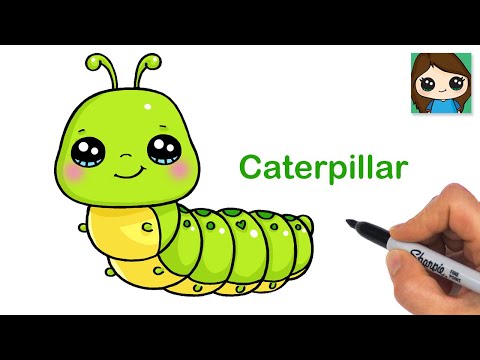 How to Draw a Caterpillar ๐ Cute Insect