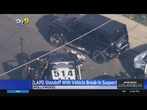 Police arrest vehicle break-in suspect following standoff