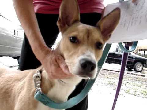 A378668. Emily, here is where you'll find her