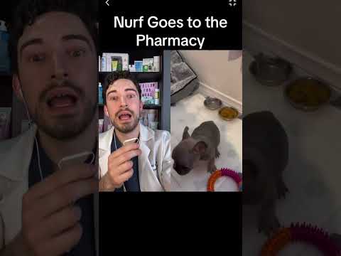 AN ACTUAL CONVERSATION AT THE PHARMACY #pharmacist #pharmacy #stitch #pharmacists #nurf