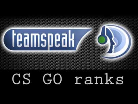 CS GO ranks icon for ts