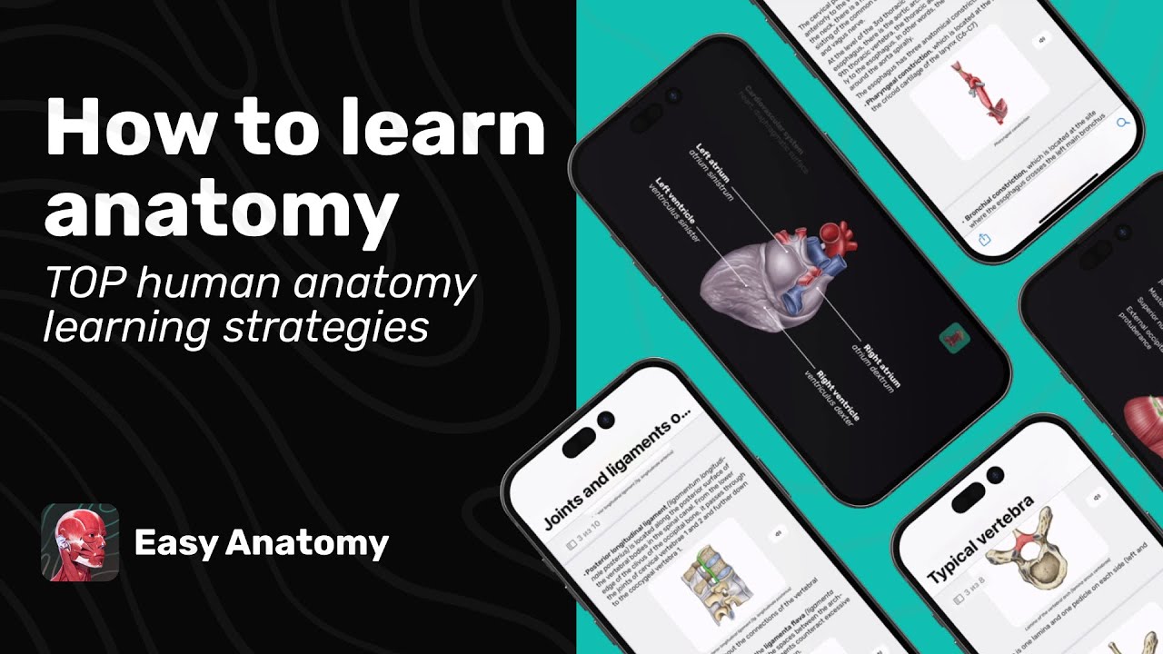 How to learn anatomy & physiology | TOP Human Anatomy learning strategies | Easy Anatomy