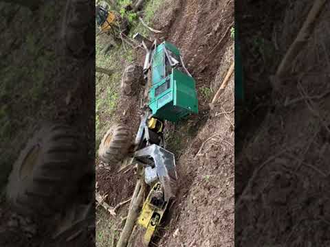 it s take from salary #shorts #forest #skidder #forwards #nature #logging