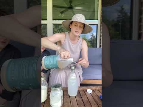 DIY Natural Garden Spray for Pest Control | Easy Homemade Recipe for Healthy Plants.