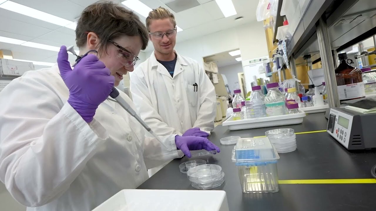 Life at Berkeley Lab