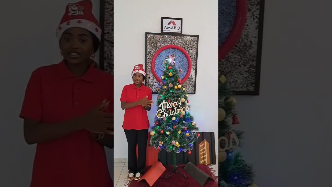 AMABO souhaite un joyeux Noël & OFFRE SPÉCIALE DE NOËL LIMITÉE ! 🎄 – Amabo