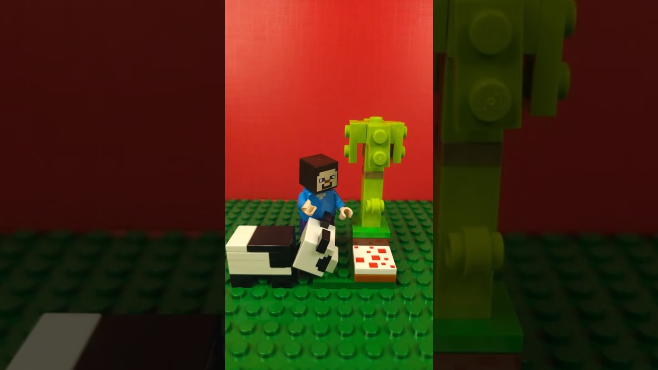 LEGO Minecraft Steve and Baby Panda (30672) Speed Building.