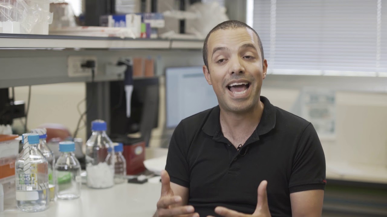 Dr. Itamar Harel – Zuckerman STEM Leadership Faculty Program