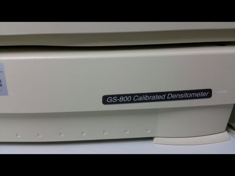 Gel Documentation System - Gel Imaging System Latest Price ...