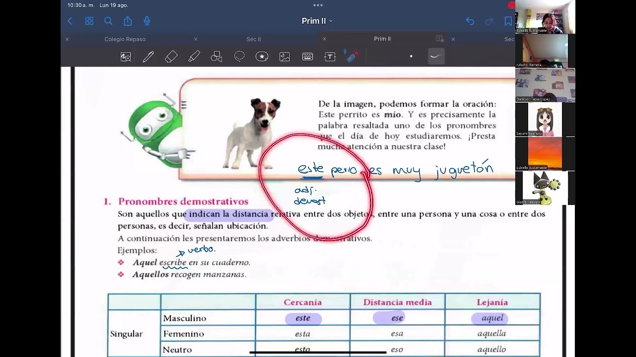 TEMA 3   GRAMATICA   PRIM 2