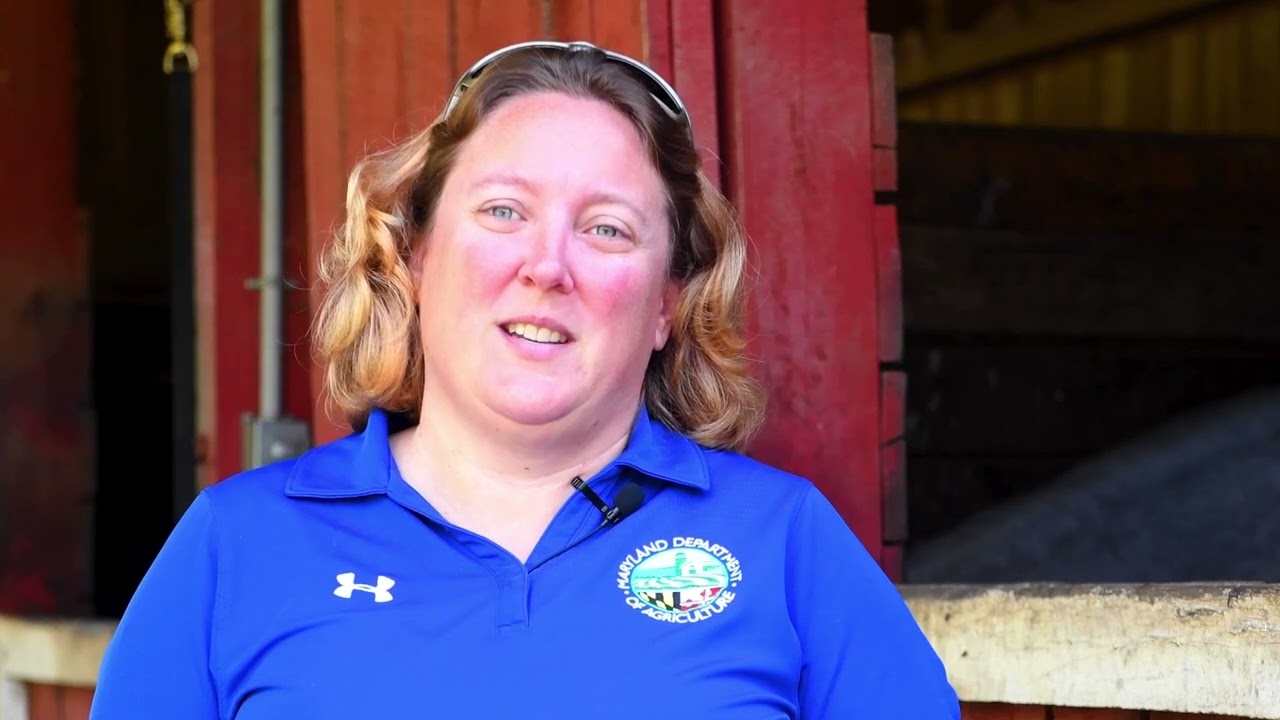 Maryland Conservation Spotlight - Pasture Management