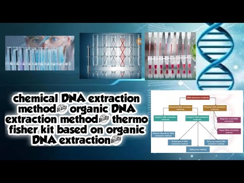 Chemical DNA extraction method# organic DNA extraction method# Thermo- fisher kit# PCI method#