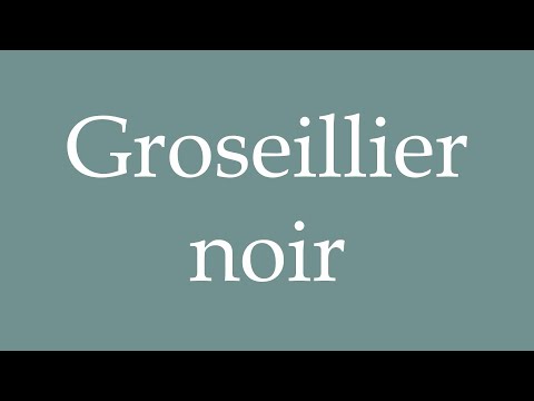 How to Pronounce ''Groseillier noir'' (Black currant) Correctly in French