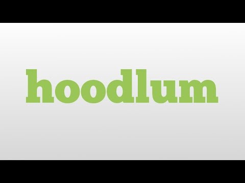 hoodlum meaning and pronunciation