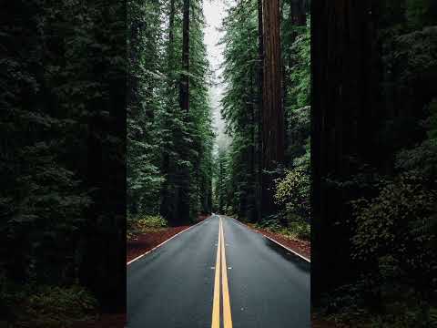 HD Nature wallpaper #nature