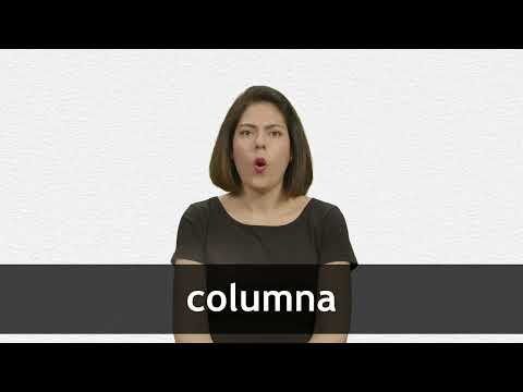 English Translation of “COLUMNA” | Collins Spanish-English Dictionary