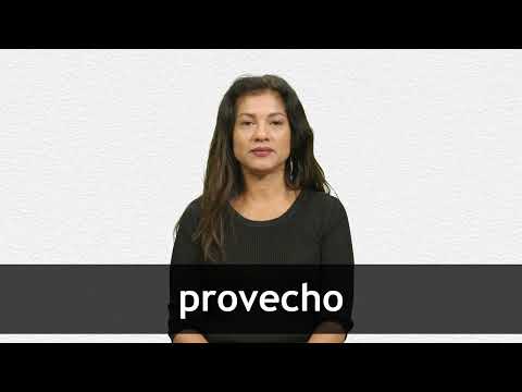 English Translation of “PROVECHO” | Collins Spanish-English Dictionary