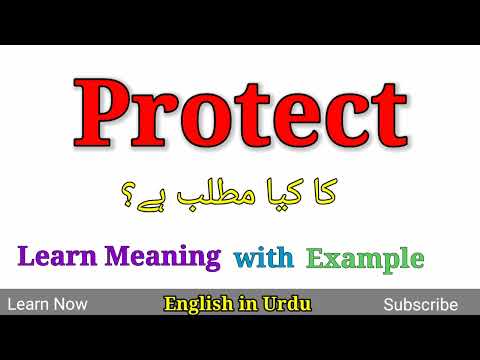 Protect Meaning in Urdu