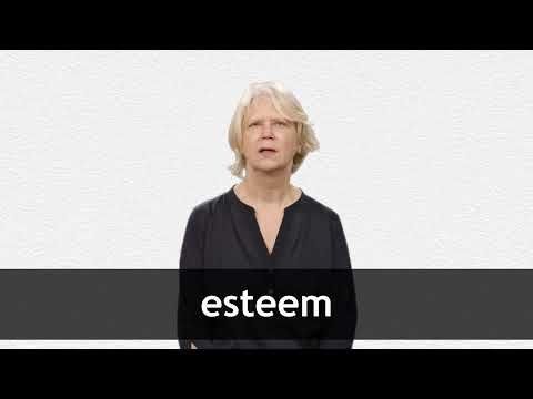 How to pronounce ESTEEM in American English