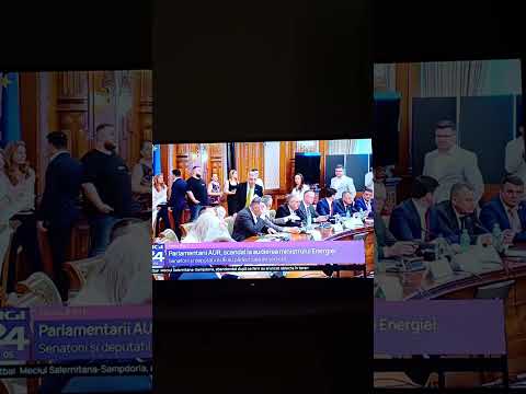 Parlamentarii AUR, scandal la audieri #nicusordan #pnl #alegeriprezidentiale #usr #psd #aur